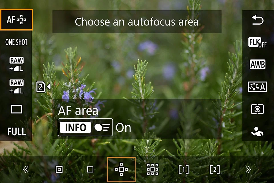 AF-S, AF-C, Tracking là gì? Cách chọn chế độ lấy nét phù hợp từng tình ...